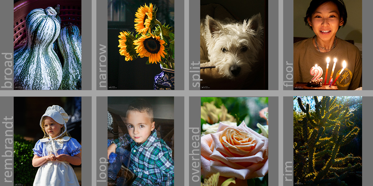 Easy One Light Source Portraiture | 365 Picture Today